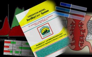 Creighton Model – Unleashing the power of a woman's cycle